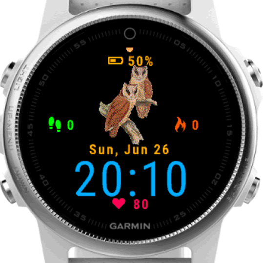 Connect IQ Store | Free Watch Faces and Apps | Garmin