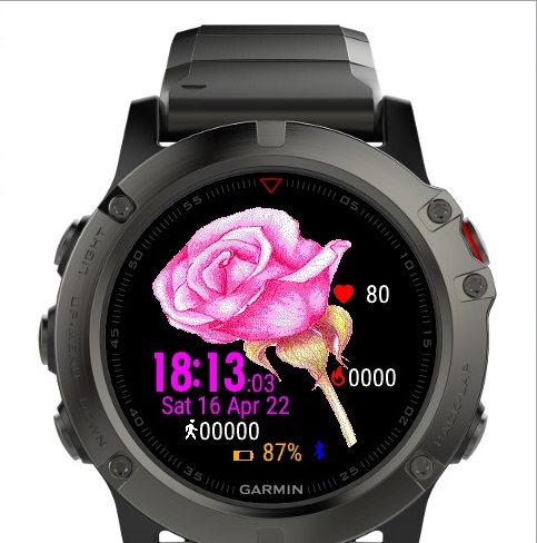 Connect IQ Store | Free Watch Faces and Apps | Garmin