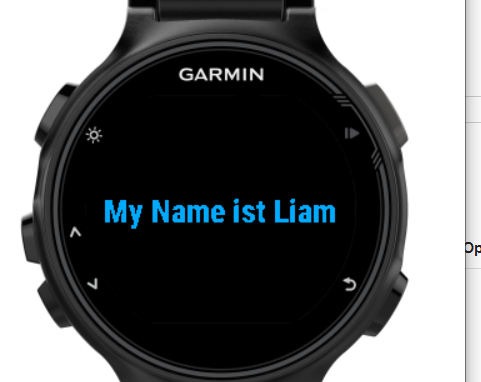 Connect IQ Store | Free Watch Faces and Apps | Garmin