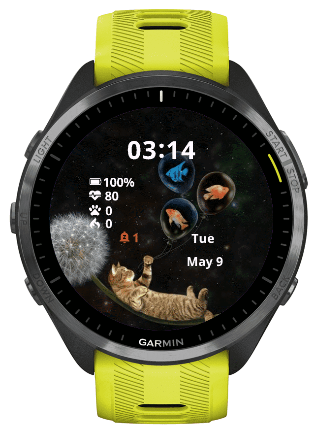 Connect IQ Store | Free Watch Faces and Apps | Garmin