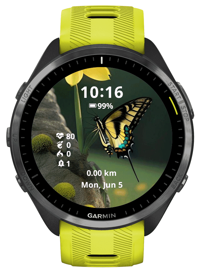 Connect IQ Store | Free Watch Faces and Apps | Garmin