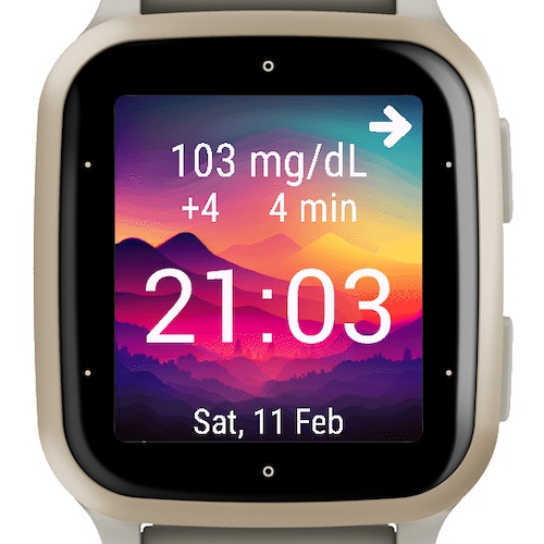 Connect IQ Store | Free Watch Faces and Apps | Garmin