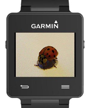 Connect IQ Store | Free Watch Faces and Apps | Garmin
