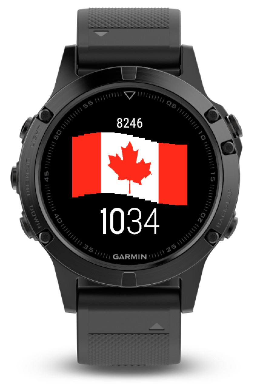 Connect IQ Store | Free Watch Faces and Apps | Garmin