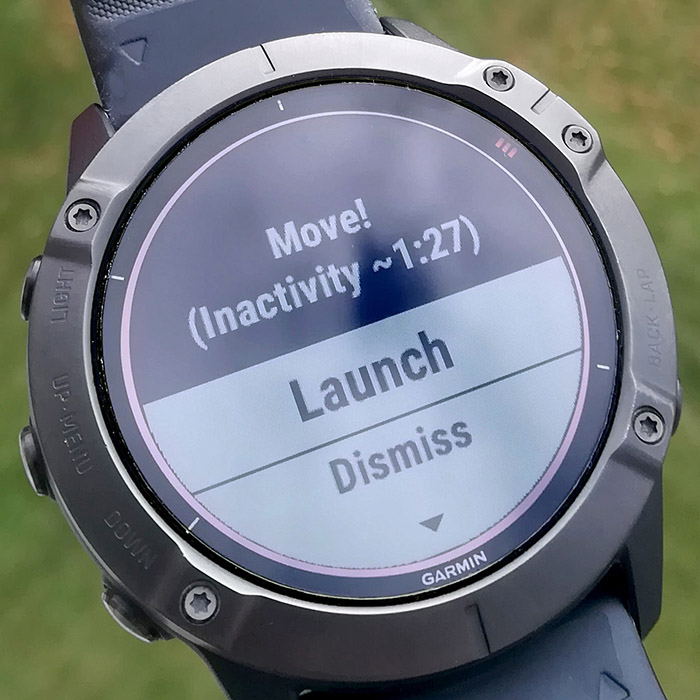 Connect IQ Store | Free Watch Faces and Apps | Garmin