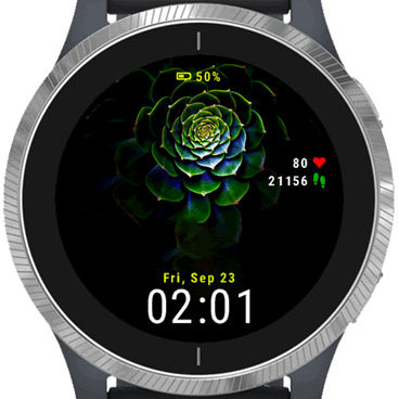 Connect IQ Store | Free Watch Faces and Apps | Garmin