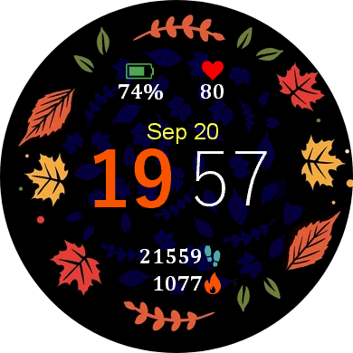 Connect IQ Store | Free Watch Faces and Apps | Garmin