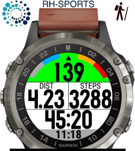 Connect IQ Store | Free Watch Faces and Apps | Garmin