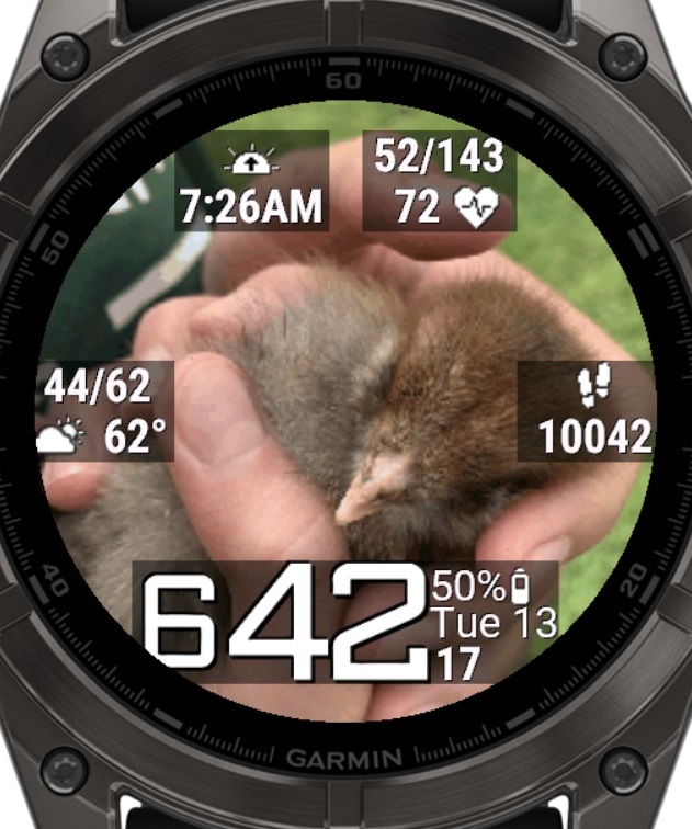 Connect IQ Store | Watch Faces and Apps | Garmin